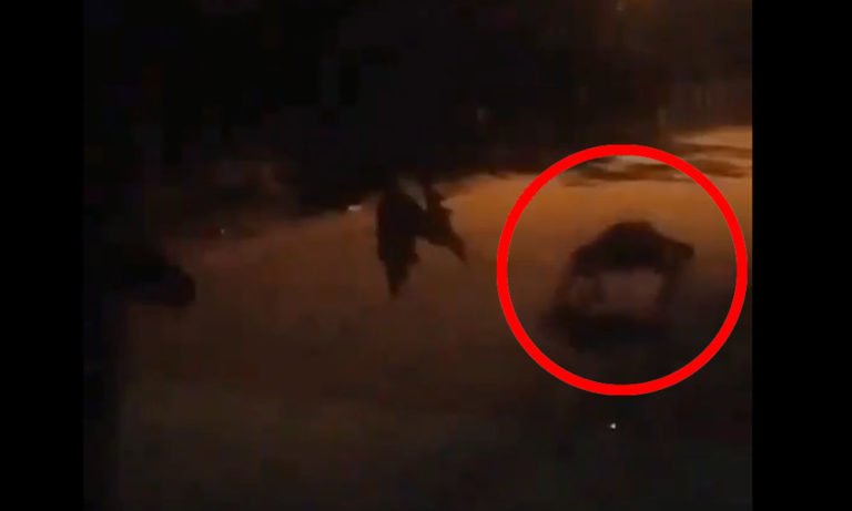 Supuestamente grabaron al Luisón – Prensa 5